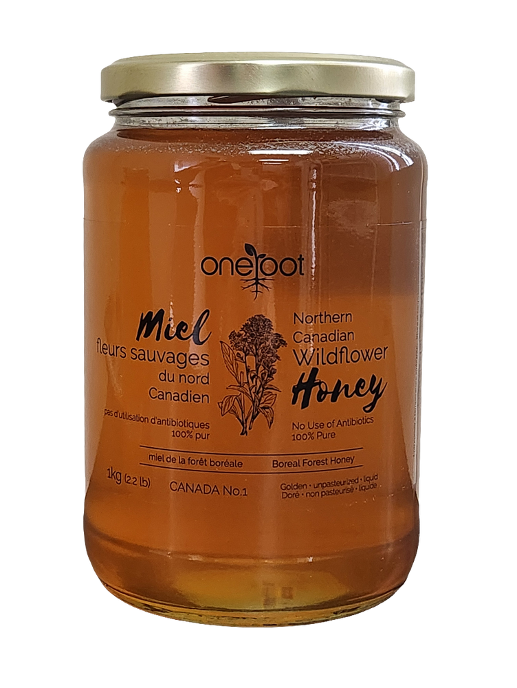 Natural Raw Honey Collection Canada | Oneroot Honey